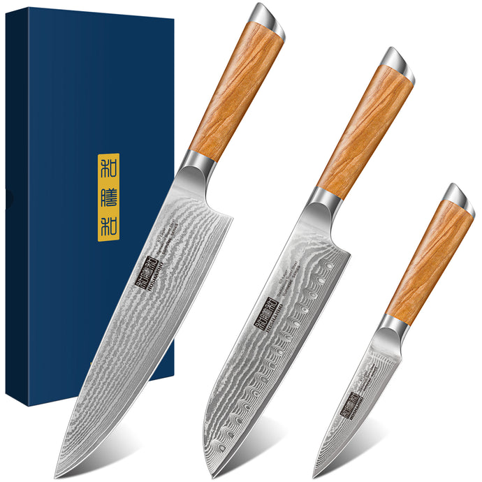 3-Piece Damascus Knife Set – VG-10 Chef, Santoku & Paring Knives with ...